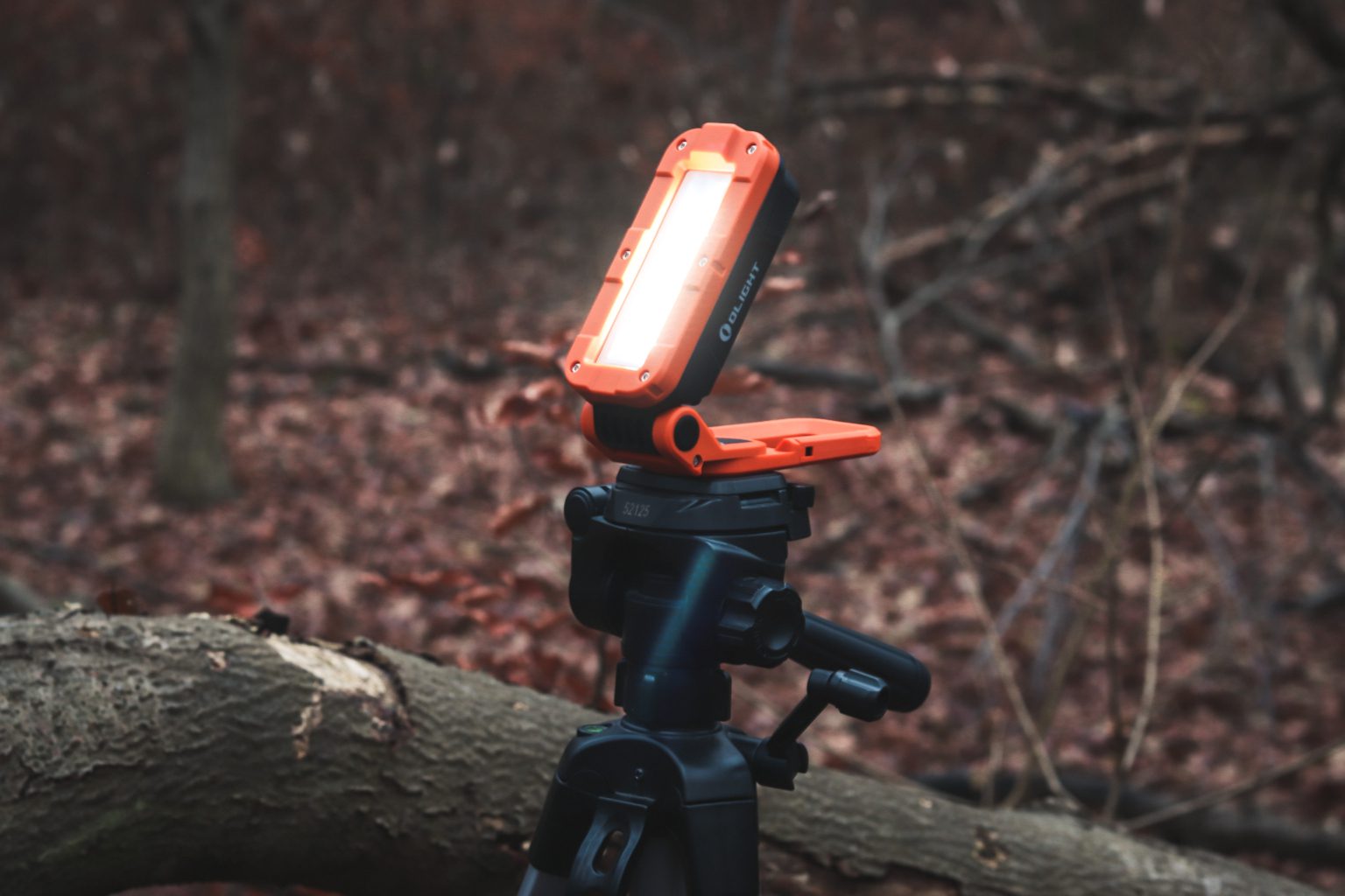 Olight Swivel Pro Test - Militär Taschenlampe
